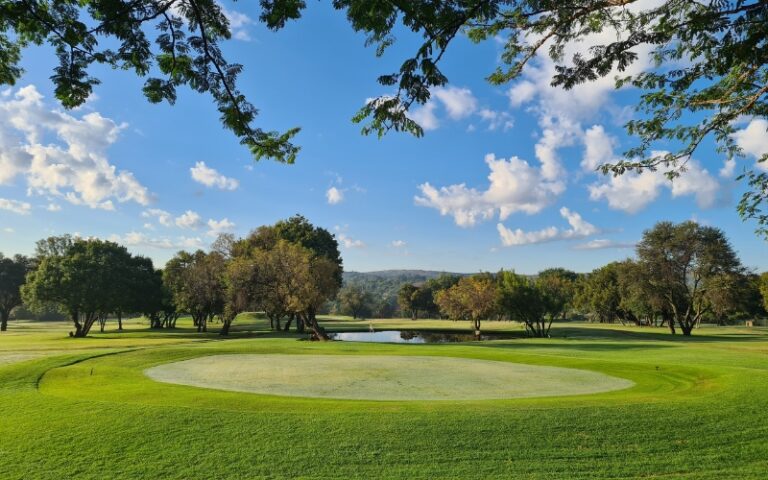 The Club at Steyn City: Course Information & Green Fees